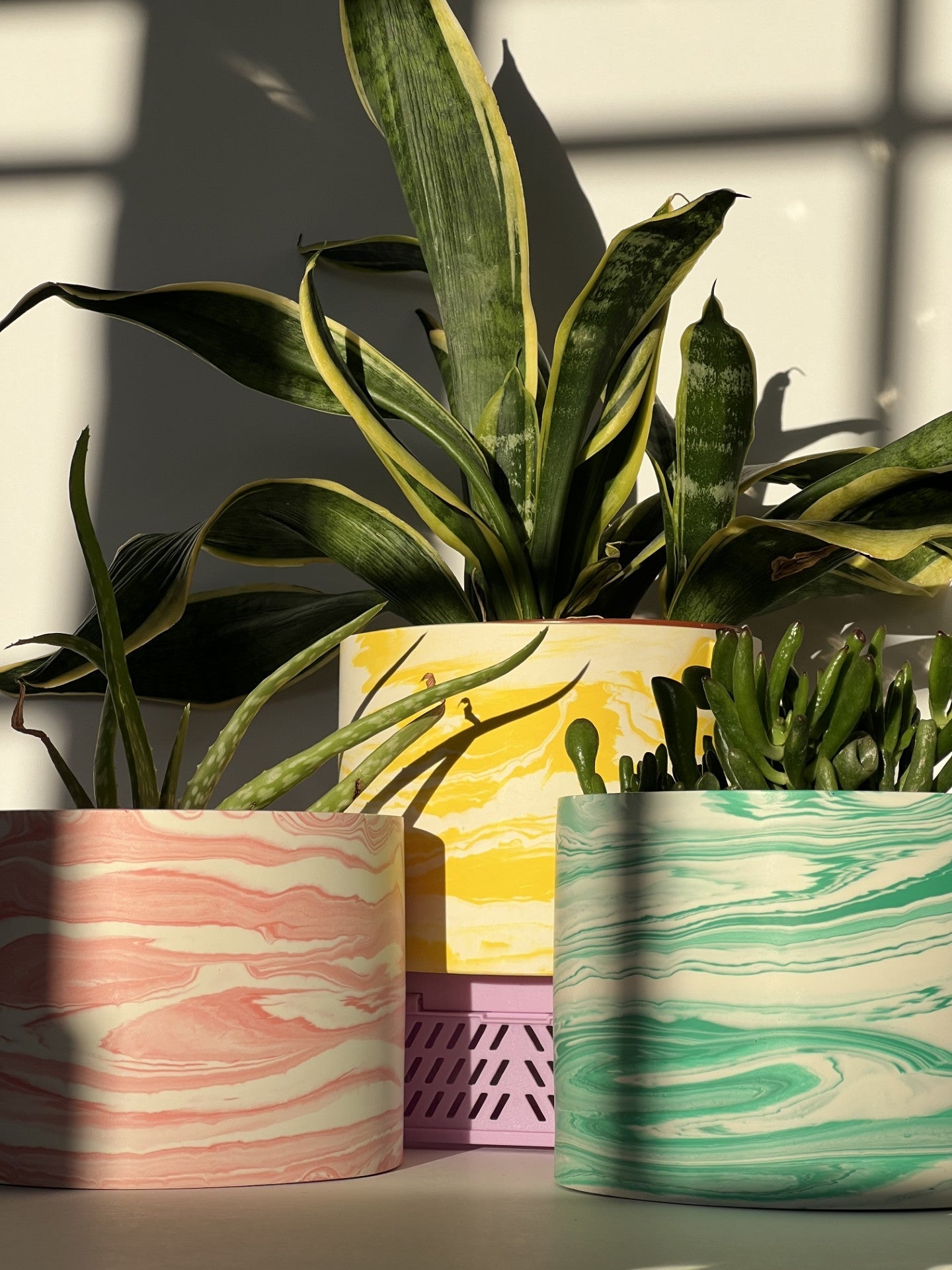 Indoor planters – Bits of Colour
